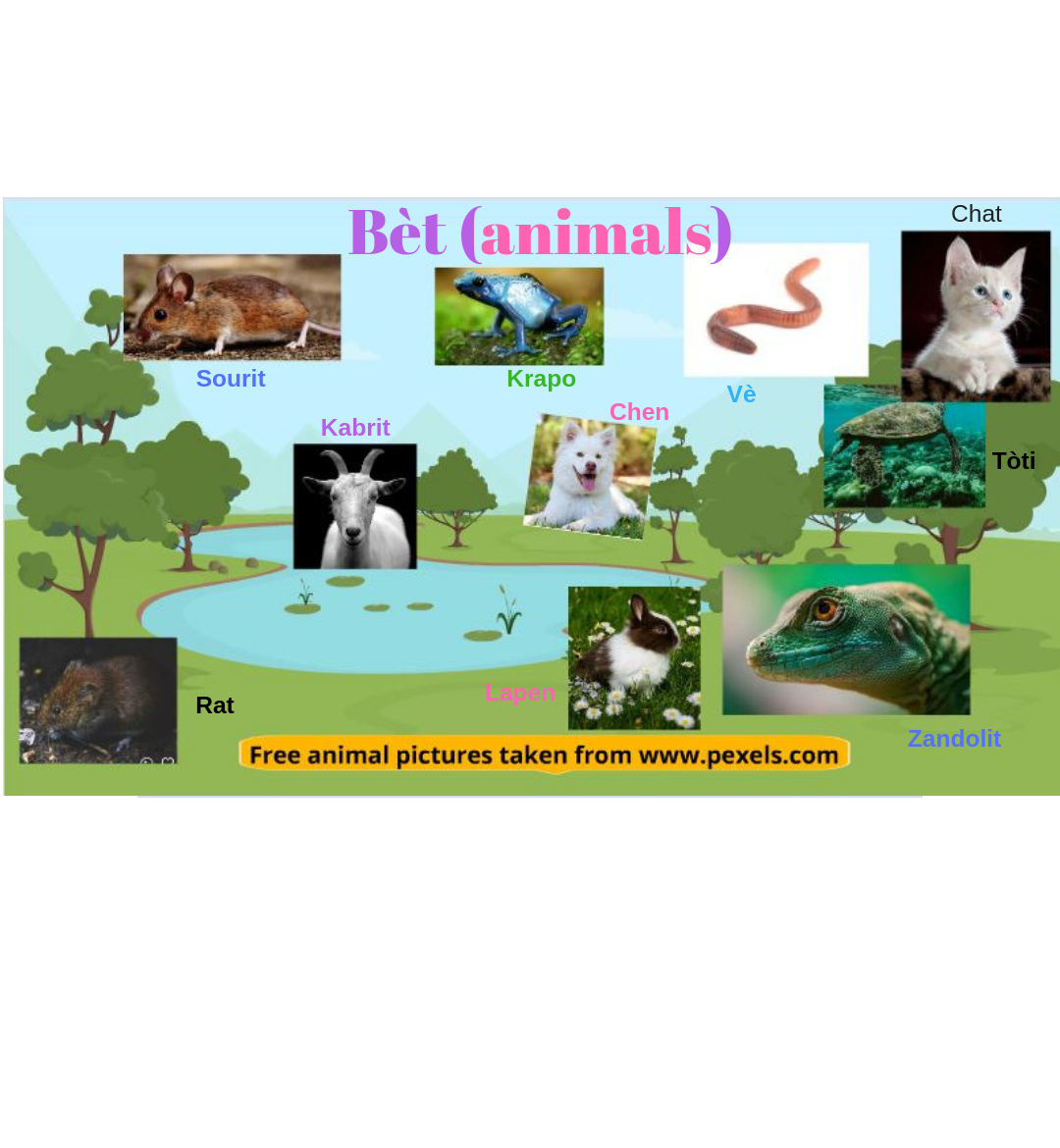 Animals (ground) = Bèt a tè - Learn Haitian Creole | Aprann Kreyòl ...